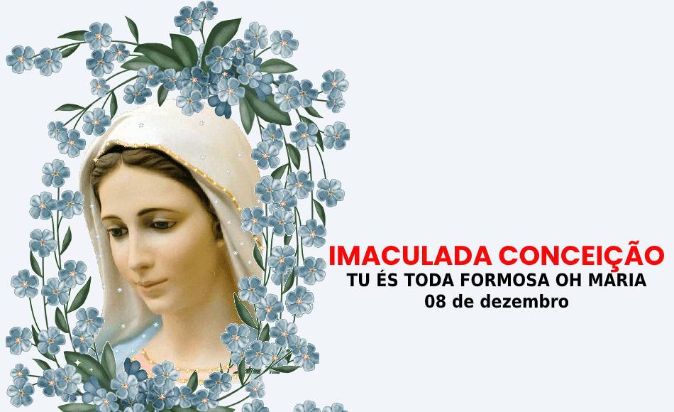 SOLENIDADE DA IMACULADA CONCEI O Par quia Imaculado Cora o De Maria solenidade-da-imaculada-concei-o-par-quia-imaculado-cora-o-de-maria
